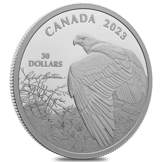 2023 Canada 2 oz Silver Vantage Point - Bald Eagle Coin